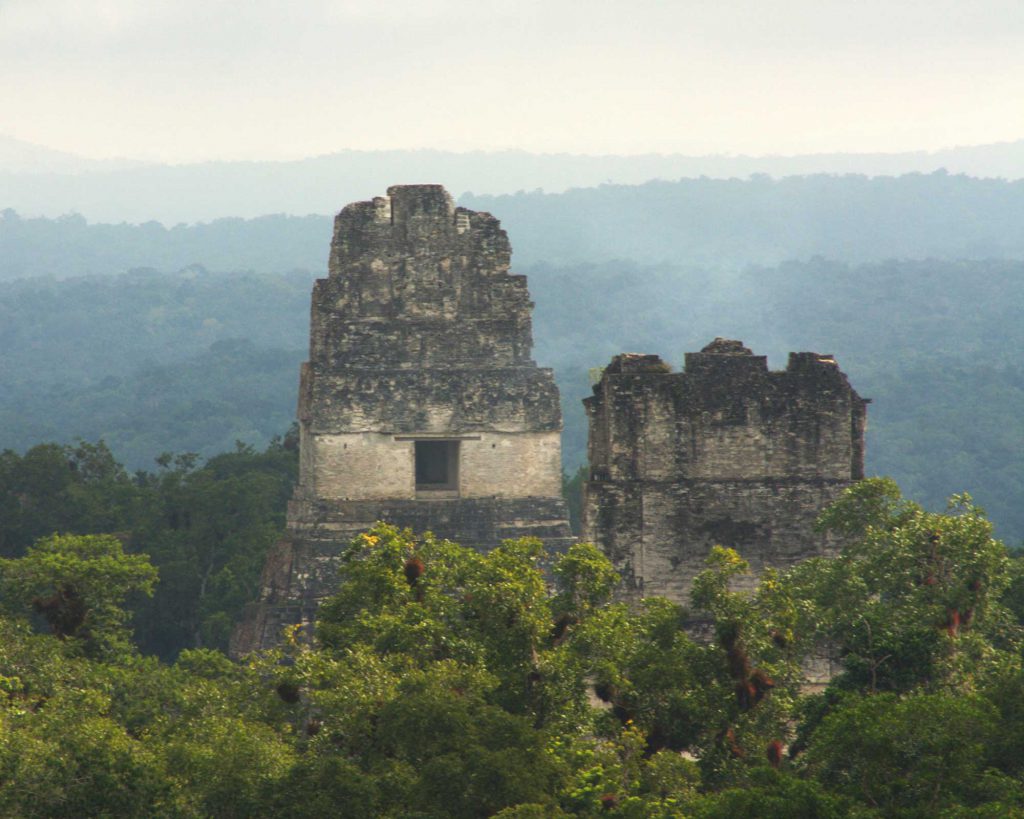 Book your Amazing Tikal Sunset Tour - Los Amigos Hostel