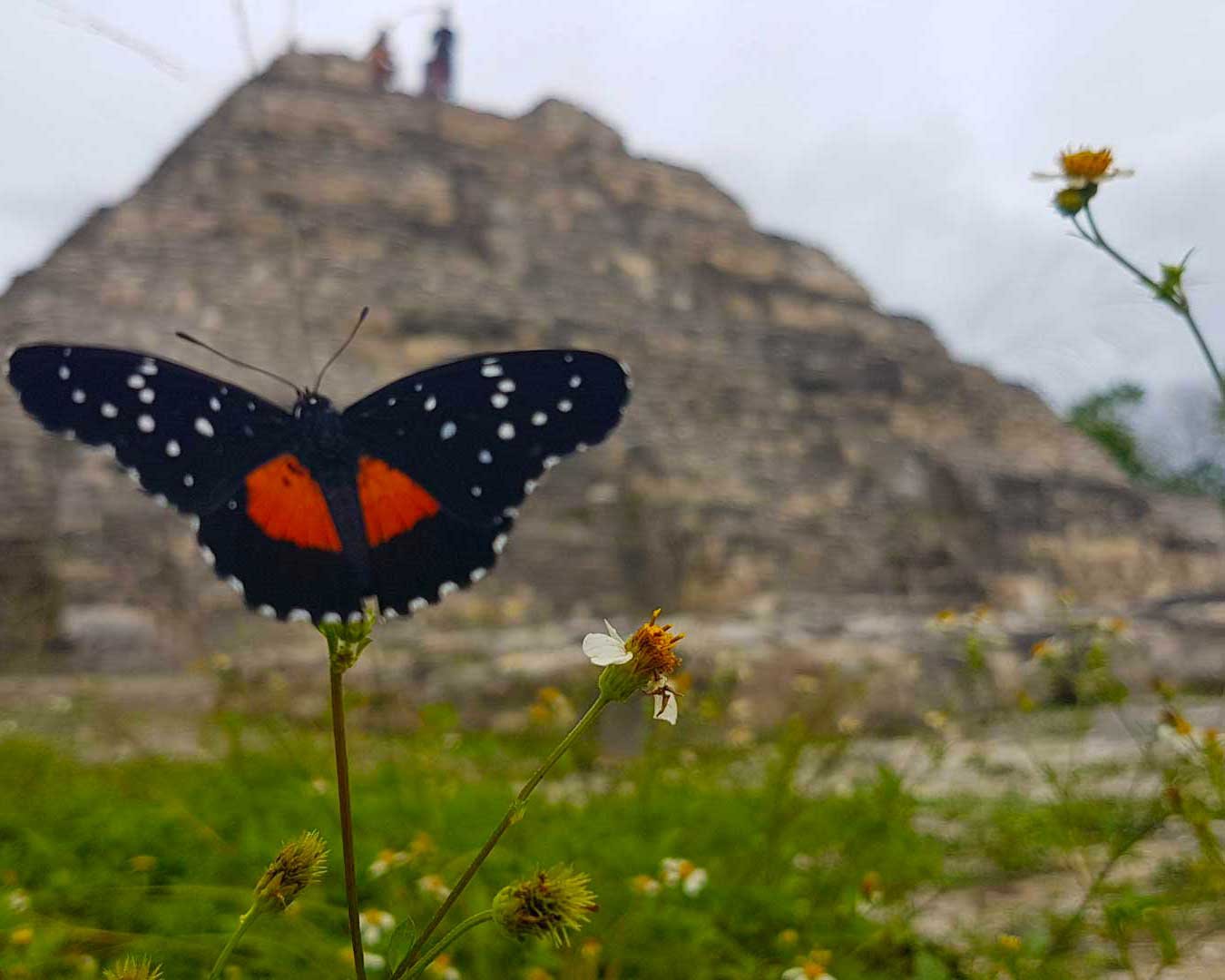 Great Yaxha Tour - Los Amigos - #1 Hostel in Flores